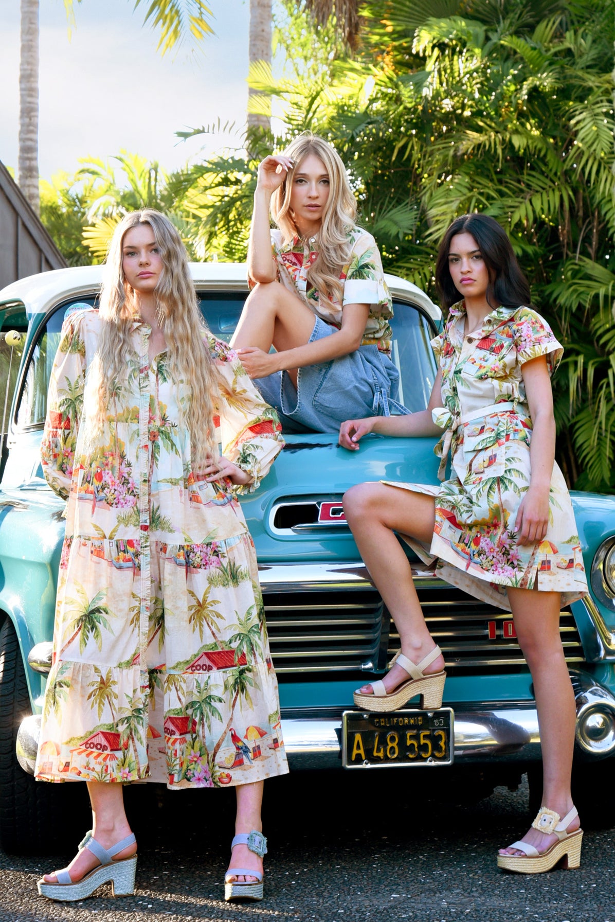 Coop Picot-A-Boo Dress – Mason&Francis