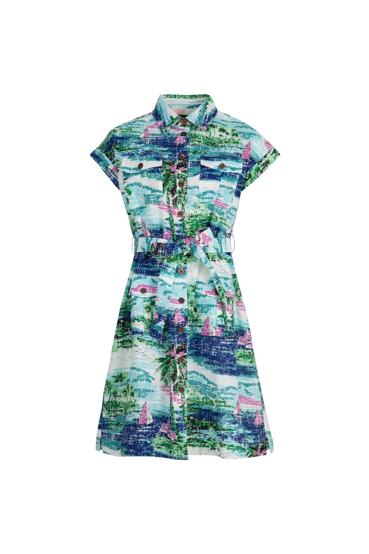 Coop Cargo-On Dress – Mason&Francis